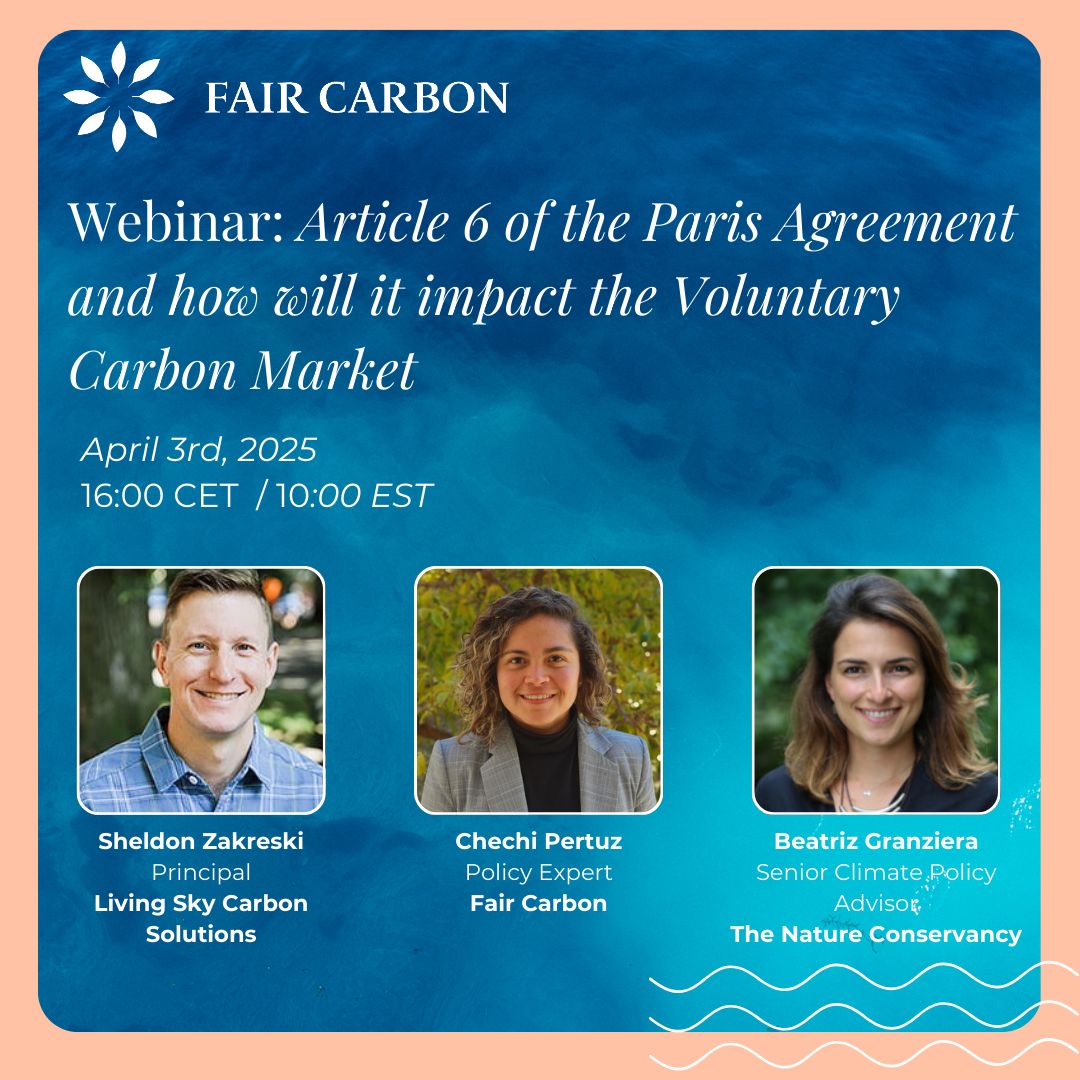 Webinar: Article 6 of the Paris Agreement and how it will impact the Voluntary Carbon Market ...